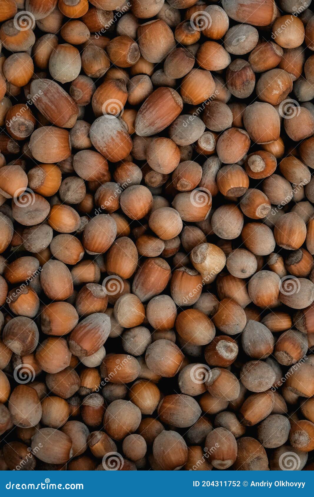 Hazelnuts As a Background Texture Image. Top View Stock Photo - Image ...