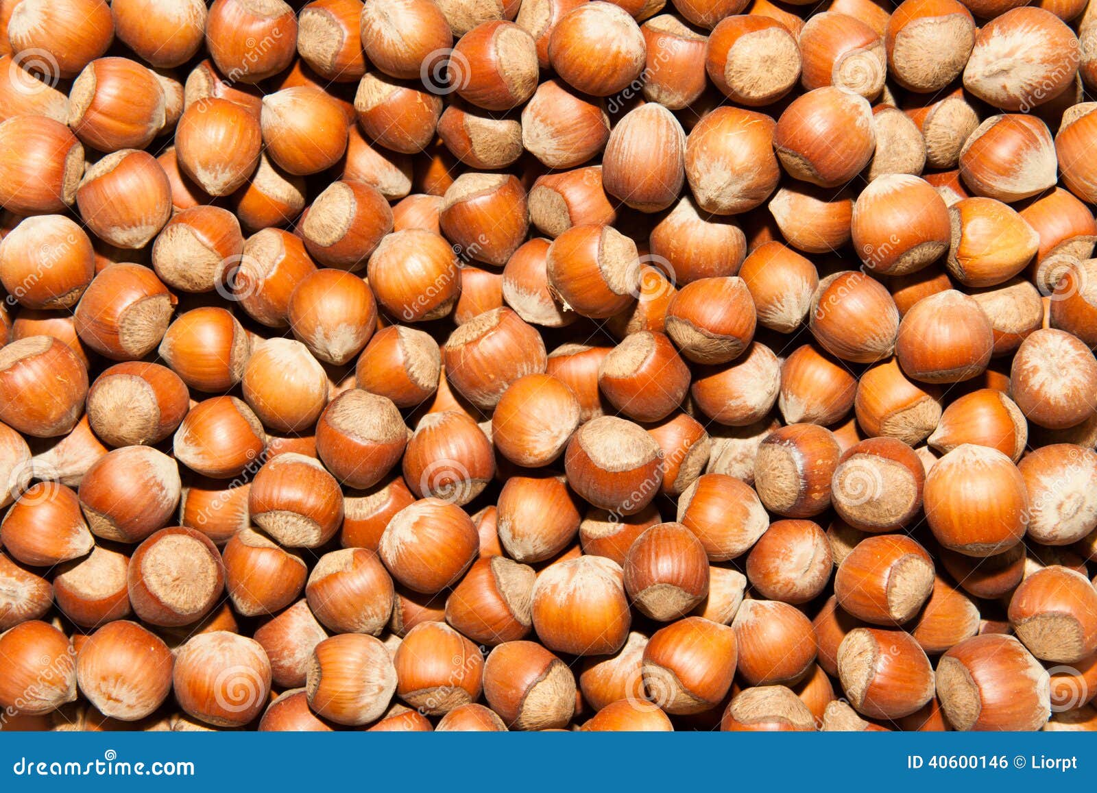 Hazelnuts Background stock photo. Image of hazelnut, pile - 40600146