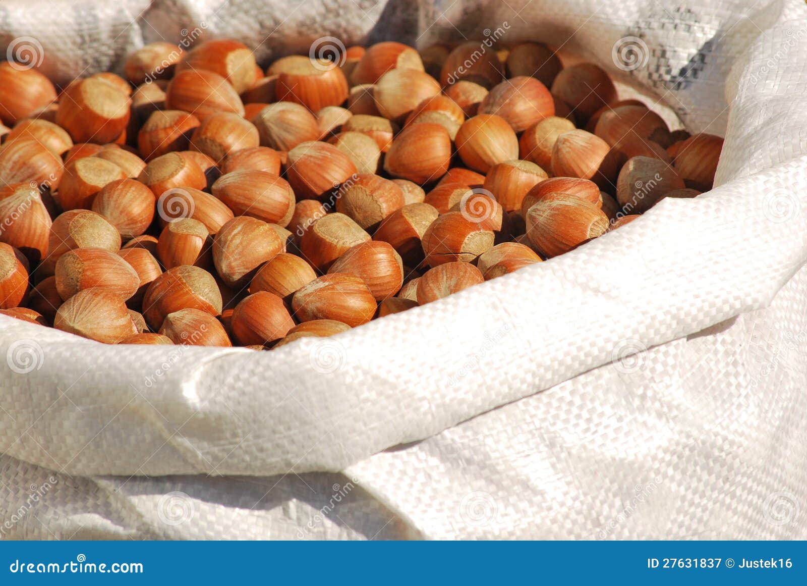Hazelnuts in a bag stock image. Image of nuts, sale, fresh - 27631837