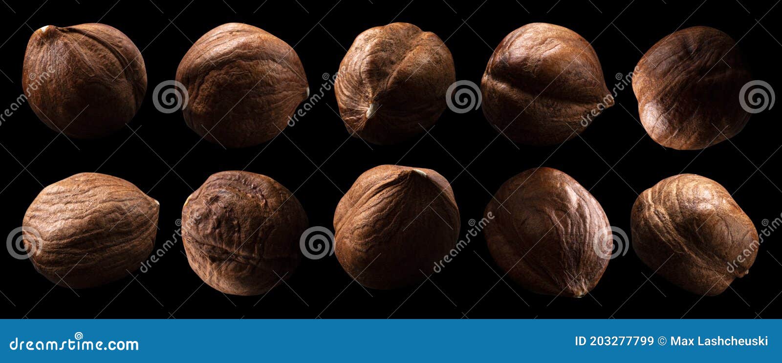 Hazelnuts on Black Background, Collection Stock Image - Image of ...