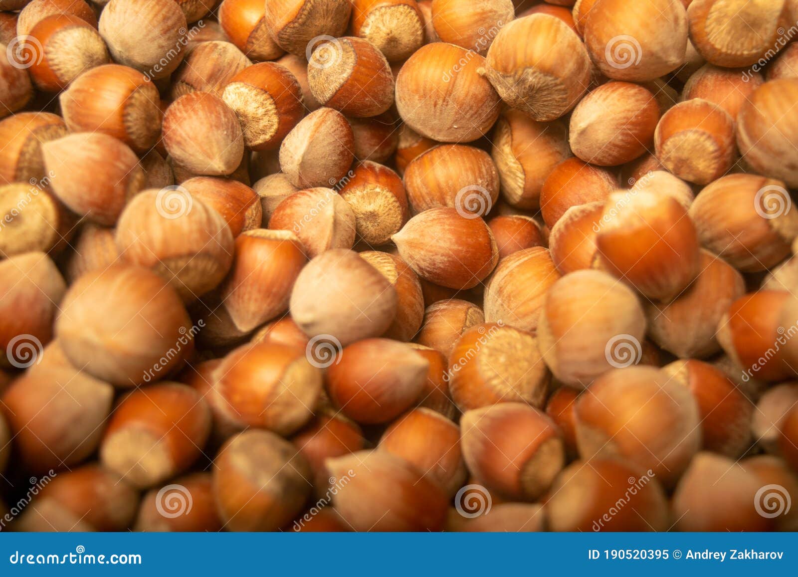 Hazelnuts in Bulk. Surface Texture Stock Image - Image of nature, fall ...