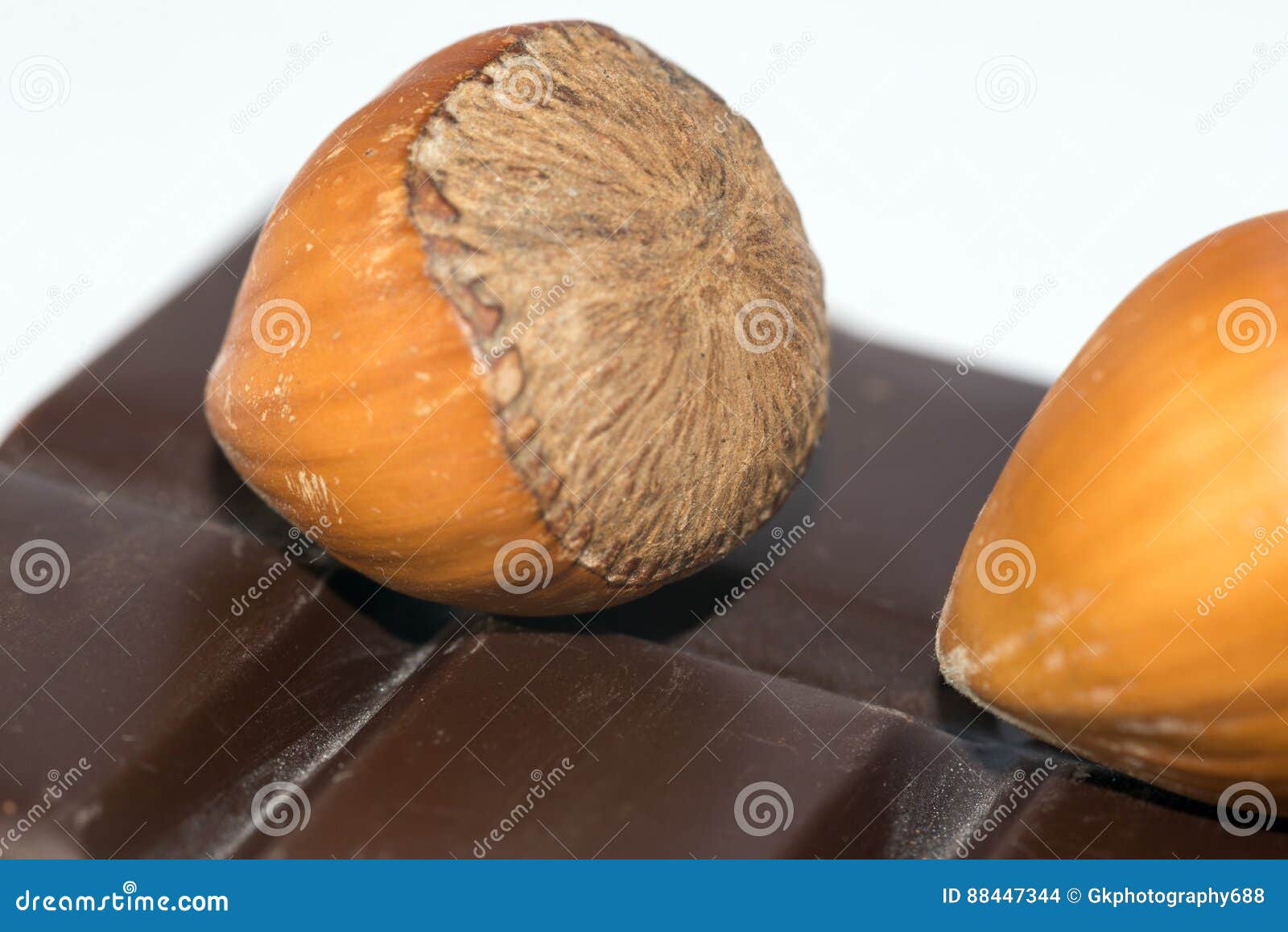 Hazelnuts and chocolate stock photo. Image of hazelnuts - 88447344