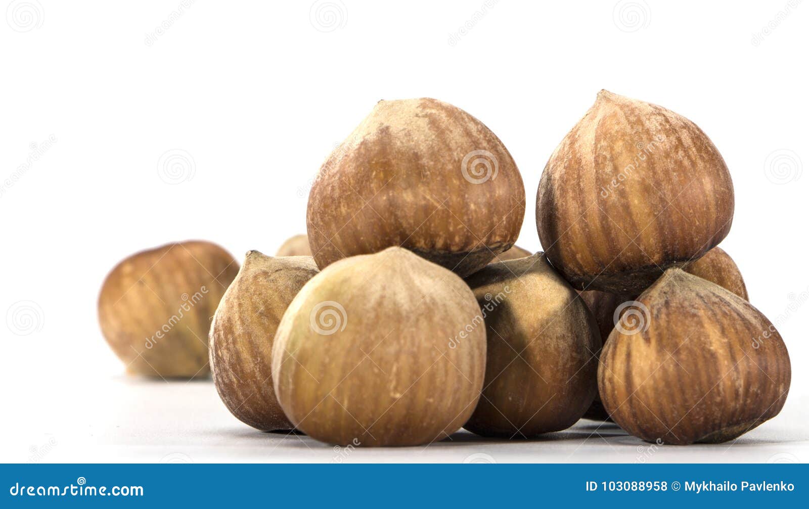 Hazelnuts Closeup on a Light Background Stock Photo - Image of food ...