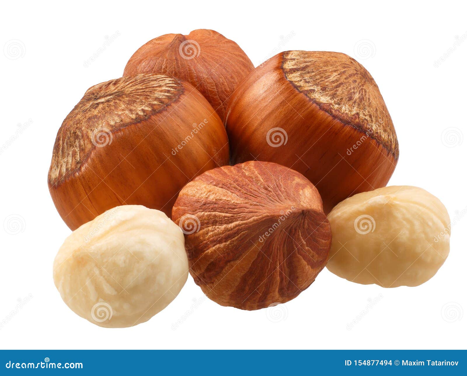 Hazelnuts Coryllus Avellana, Paths Stock Photo - Image of avellana ...