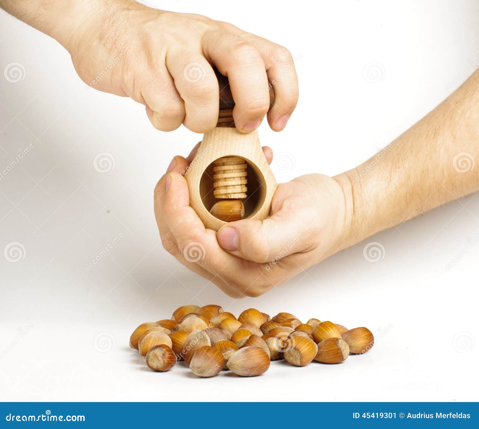 Hazelnuts cracking process stock image. Image of preparation - 45419301