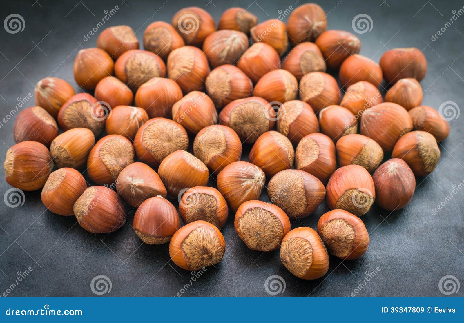 Hazelnuts. stock image. Image of flavor, food, fall, brown - 39347809