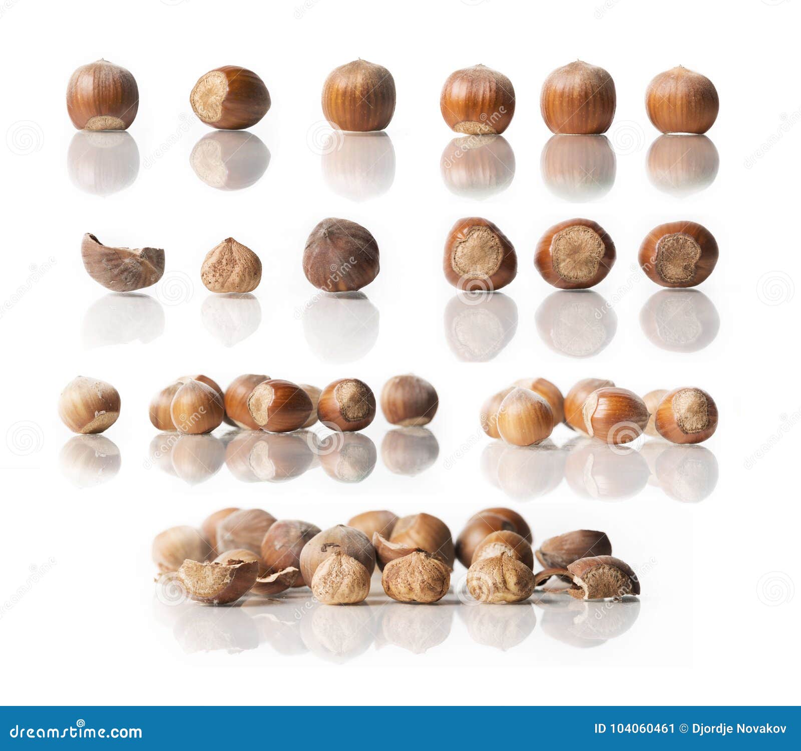 Hazelnuts in Different Positions Isolated on White Studio Background ...