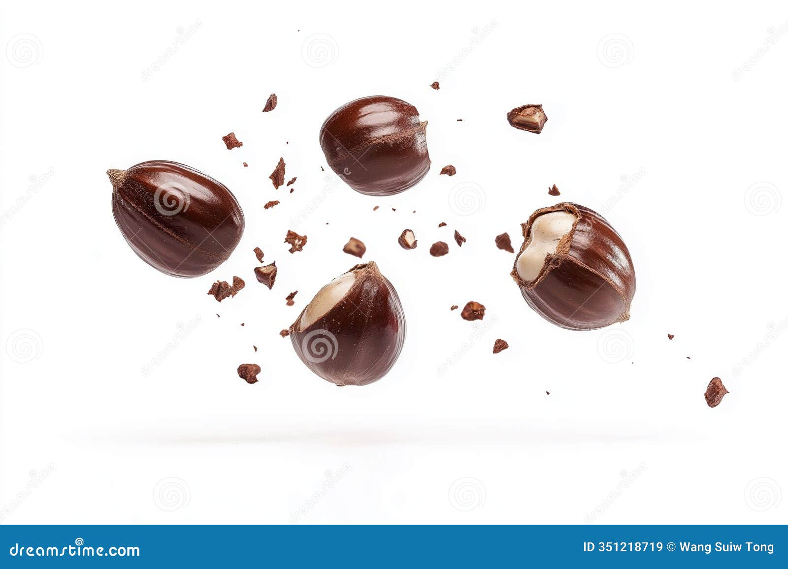 Hazelnuts Exploding with Shell and Kernel Pieces Flying Stock ...