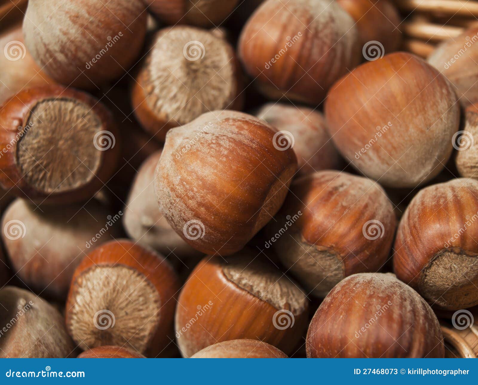 1,275 Filberts Stock Photos - Free & Royalty-Free Stock Photos from ...