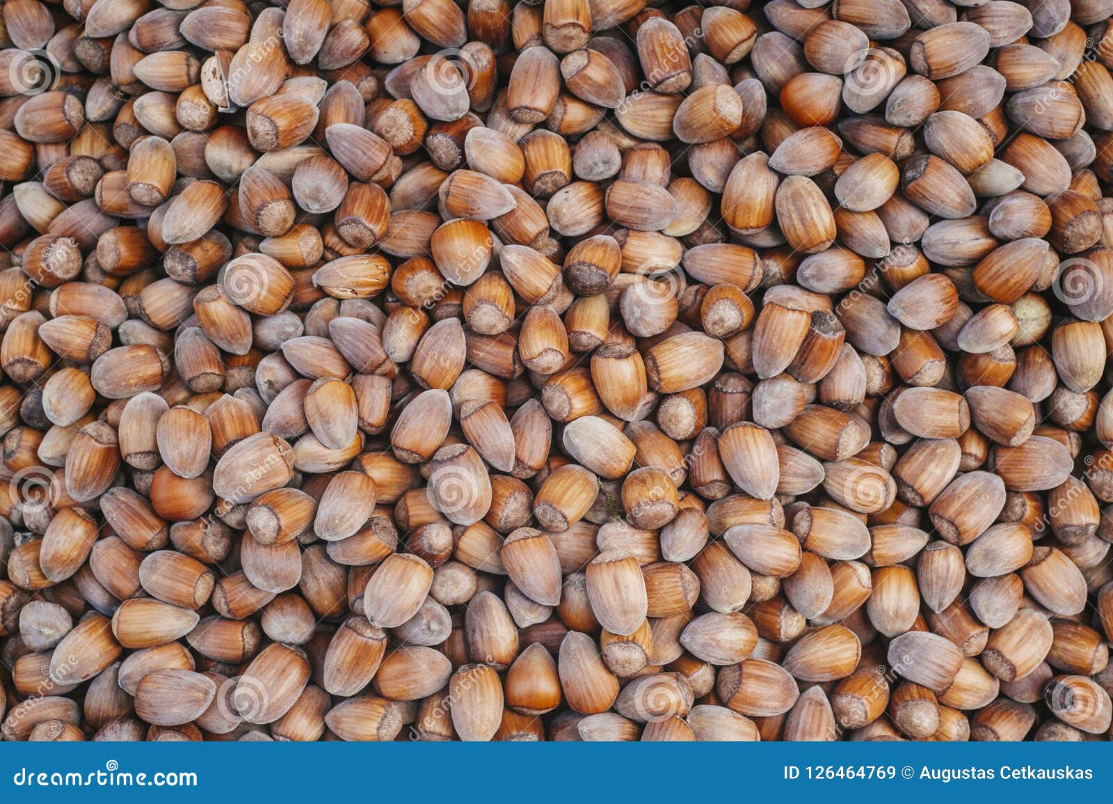 Hazelnuts. Food Background, Photo Wallpaper. Stock Image - Image of ...