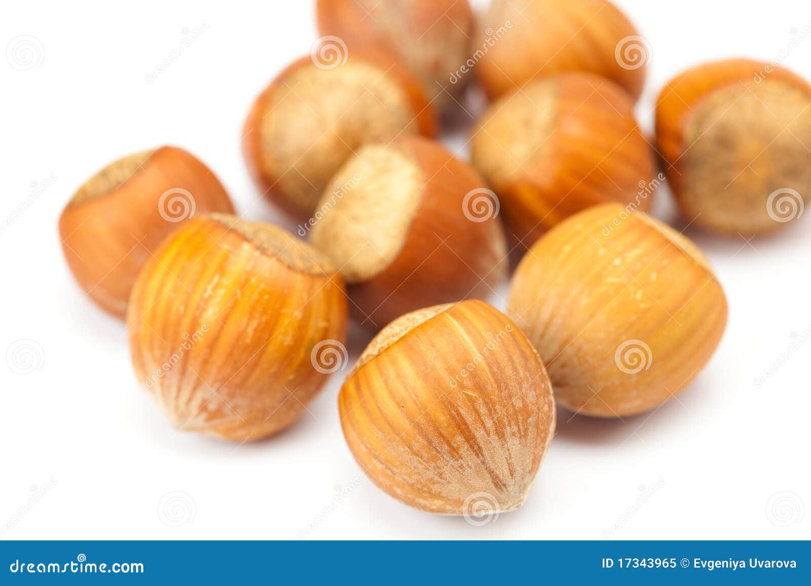 Hazelnuts Isolated on White Stock Image - Image of hazelnut, seed: 17343965