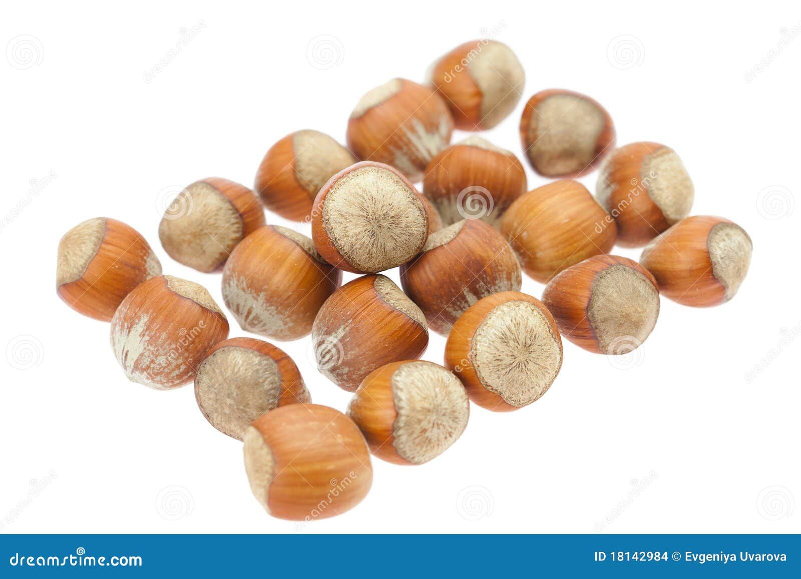 Hazelnuts Isolated on White Stock Photo - Image of element, healthy ...