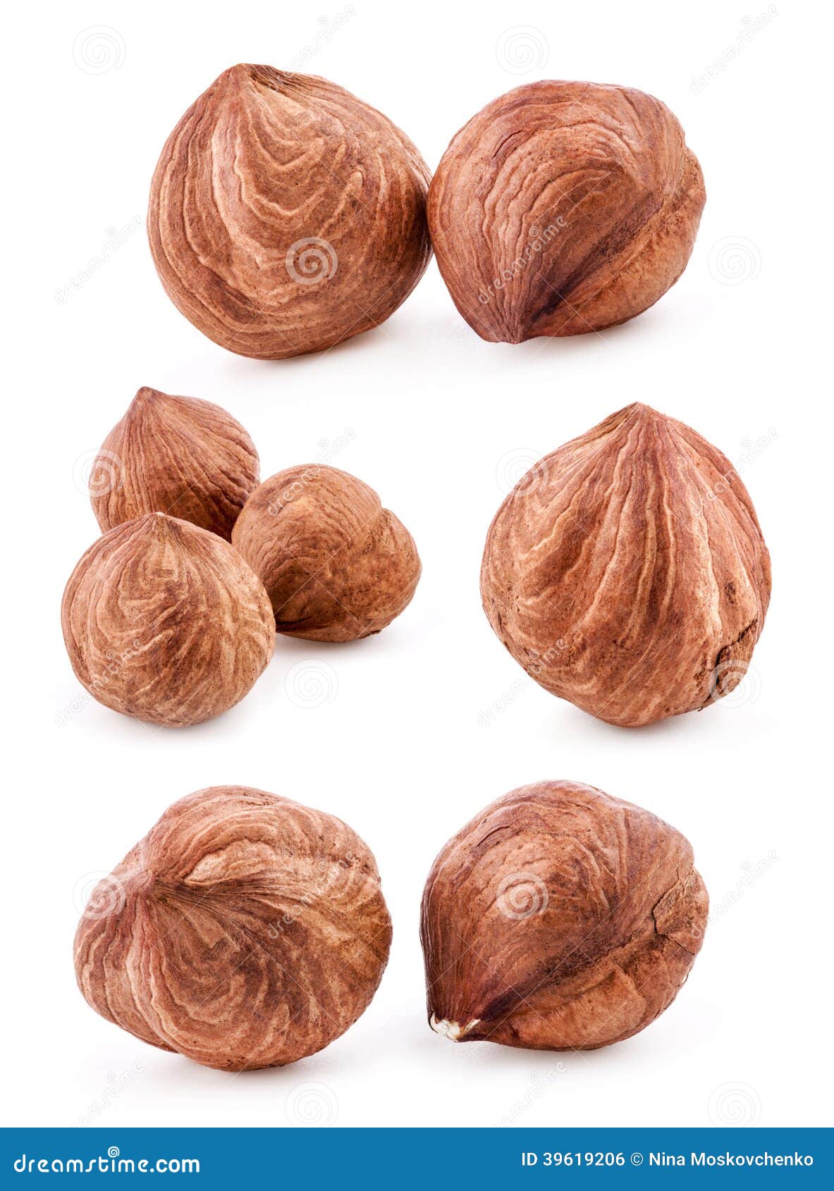 Hazelnuts kernel stock photo. Image of core, closeup - 39619206