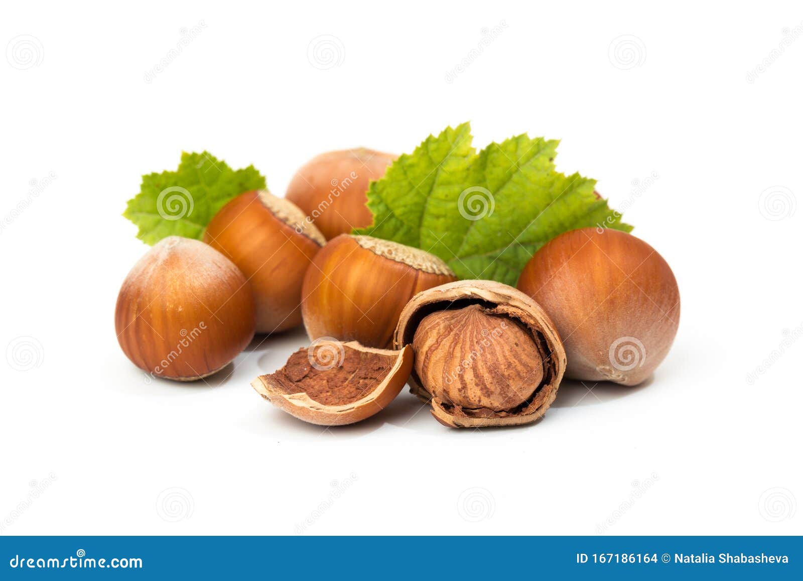 Hazelnut Nut Many Leaves Isolated on a White Background As a Packaging ...