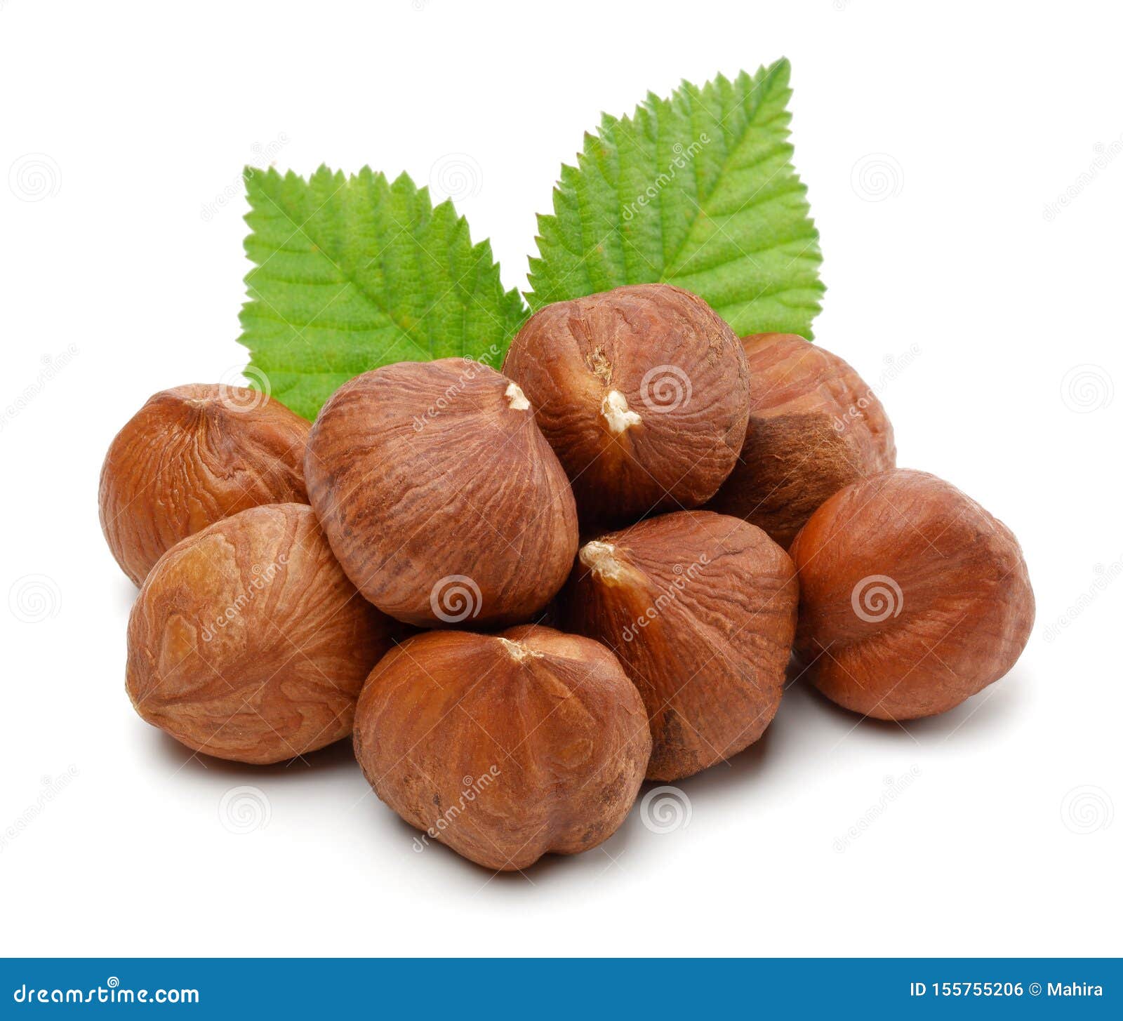 Hazelnuts and Leaves Isolated on White Stock Photo - Image of frond ...