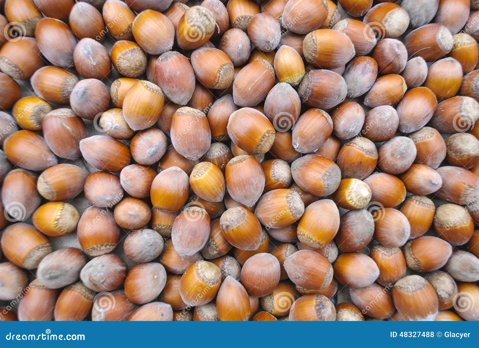 Hazelnuts Natural Background Stock Photo - Image of close, ingredient ...