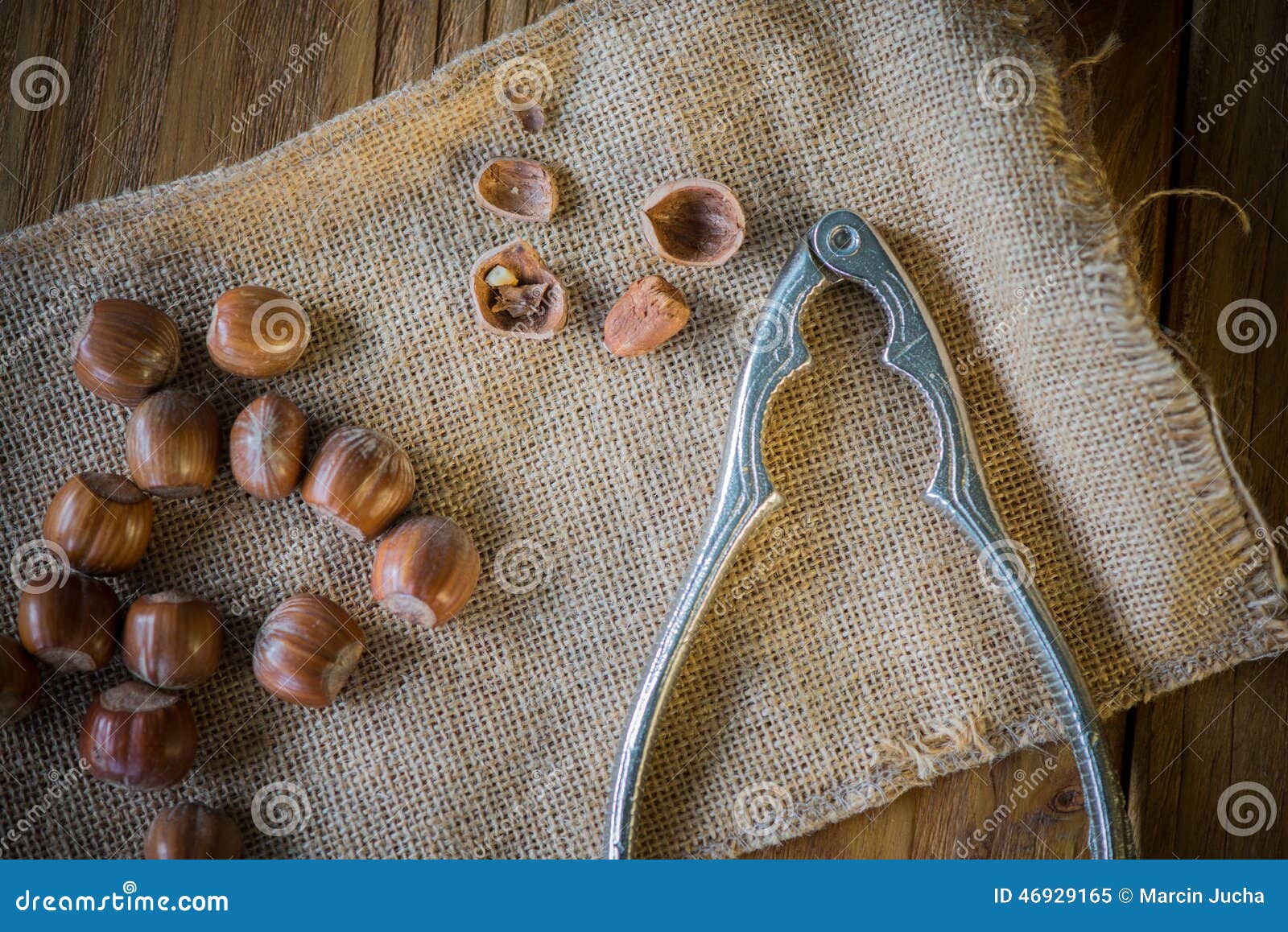 Hazelnuts and nut cracker stock image. Image of dessert - 46929165