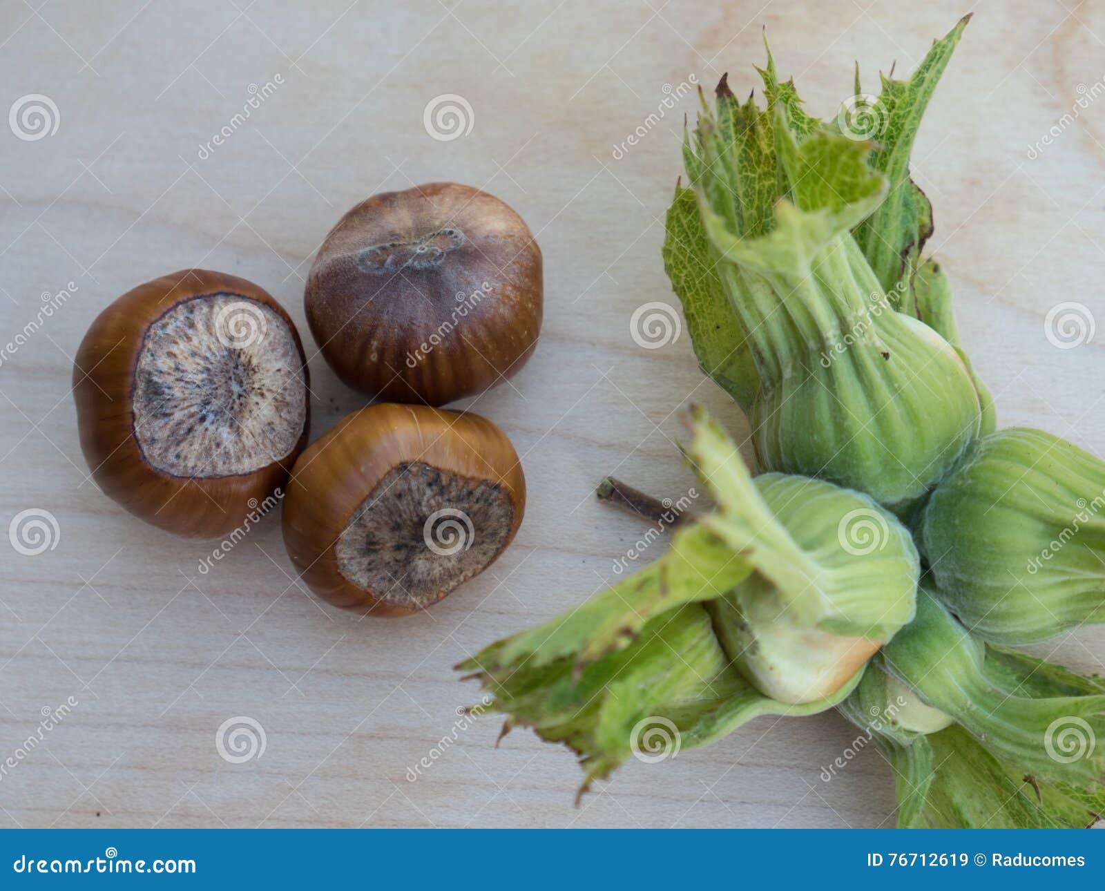 Hazelnuts Outside and Inside Their Protective Leafs Stock Image - Image ...