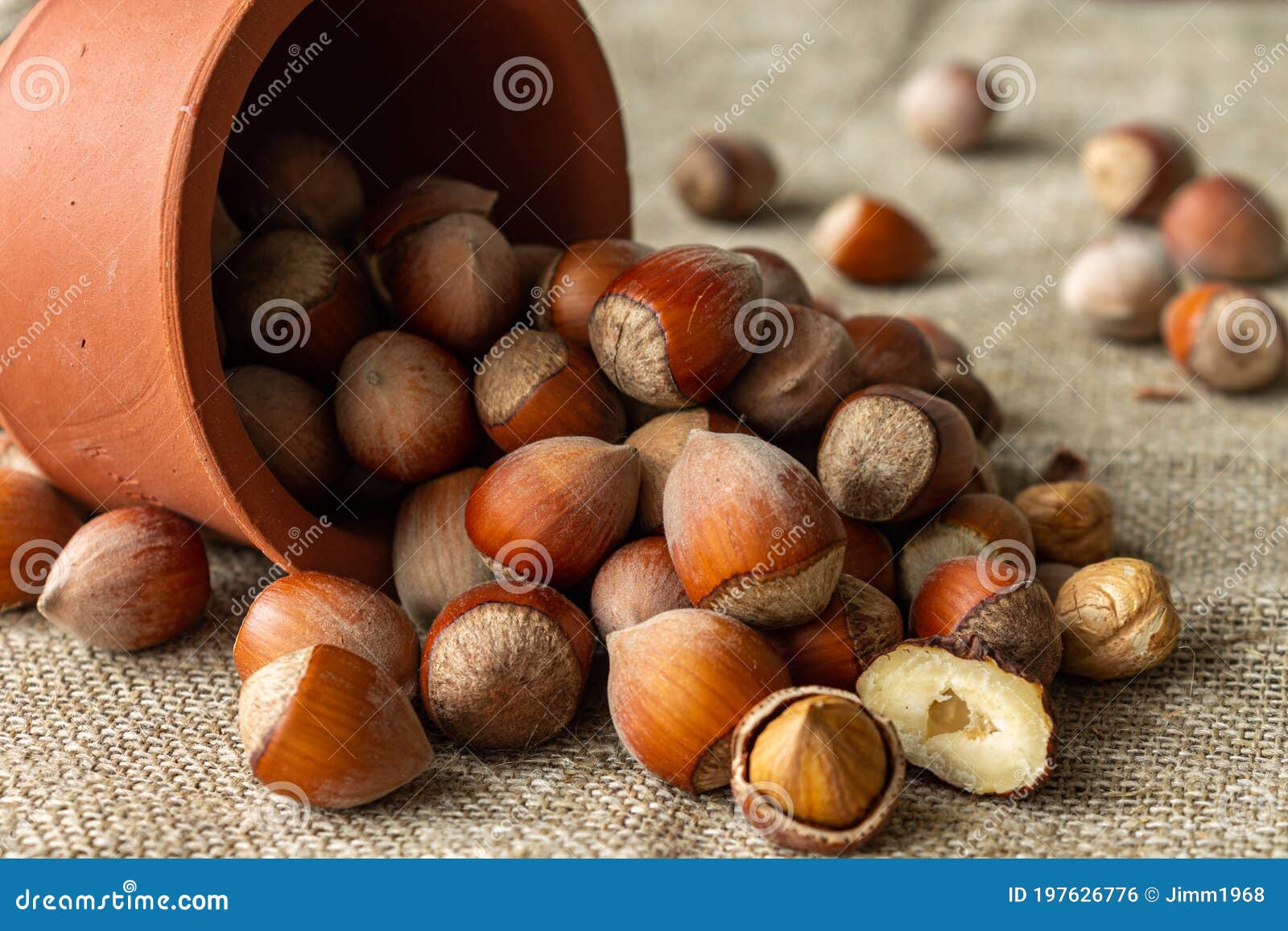Hazelnuts are Scattered on the Table. Close-up. Stock Photo - Image of ...