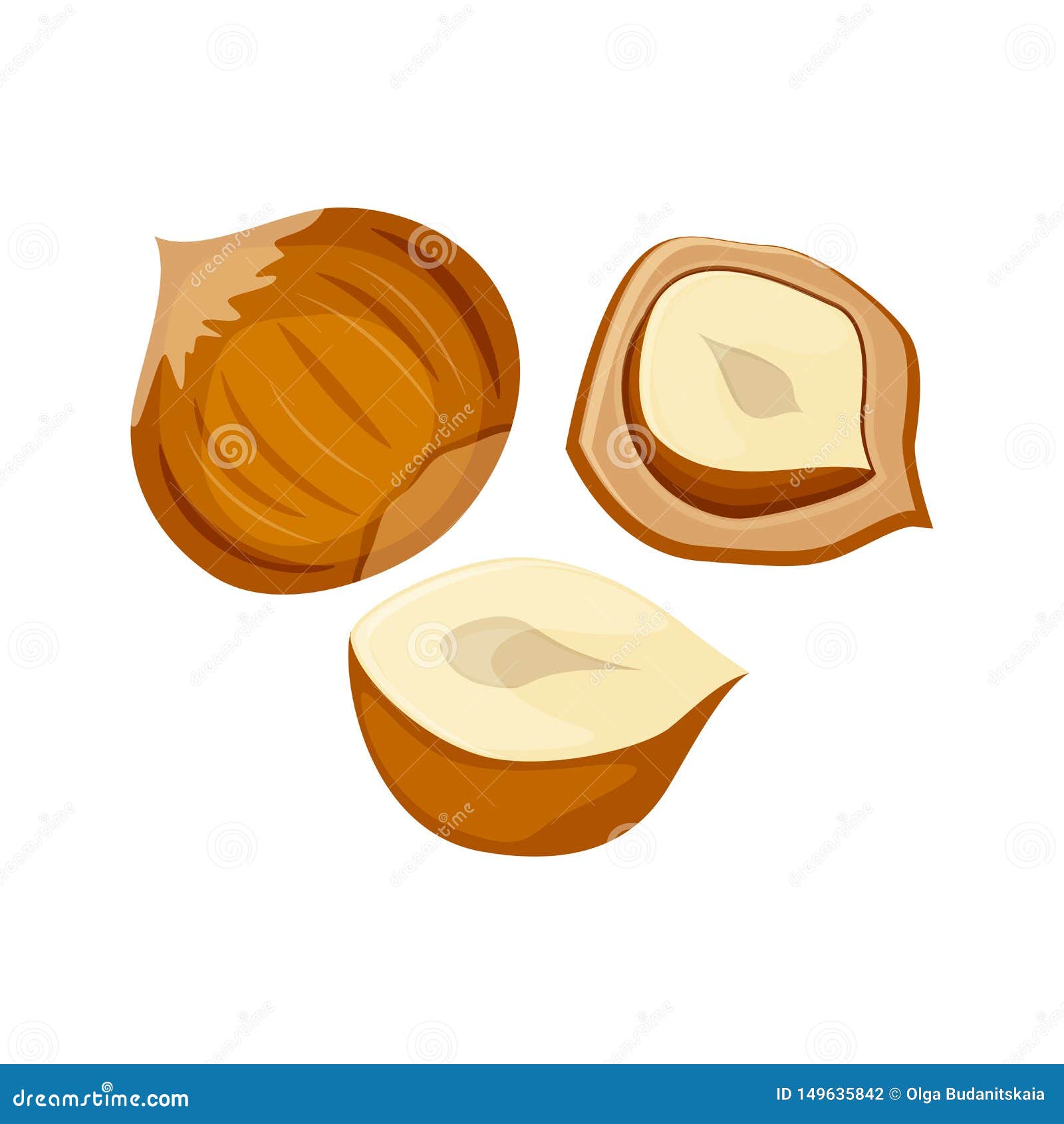 Hazelnuts Set Vector Illustration Isolated on White Background. Nuts ...