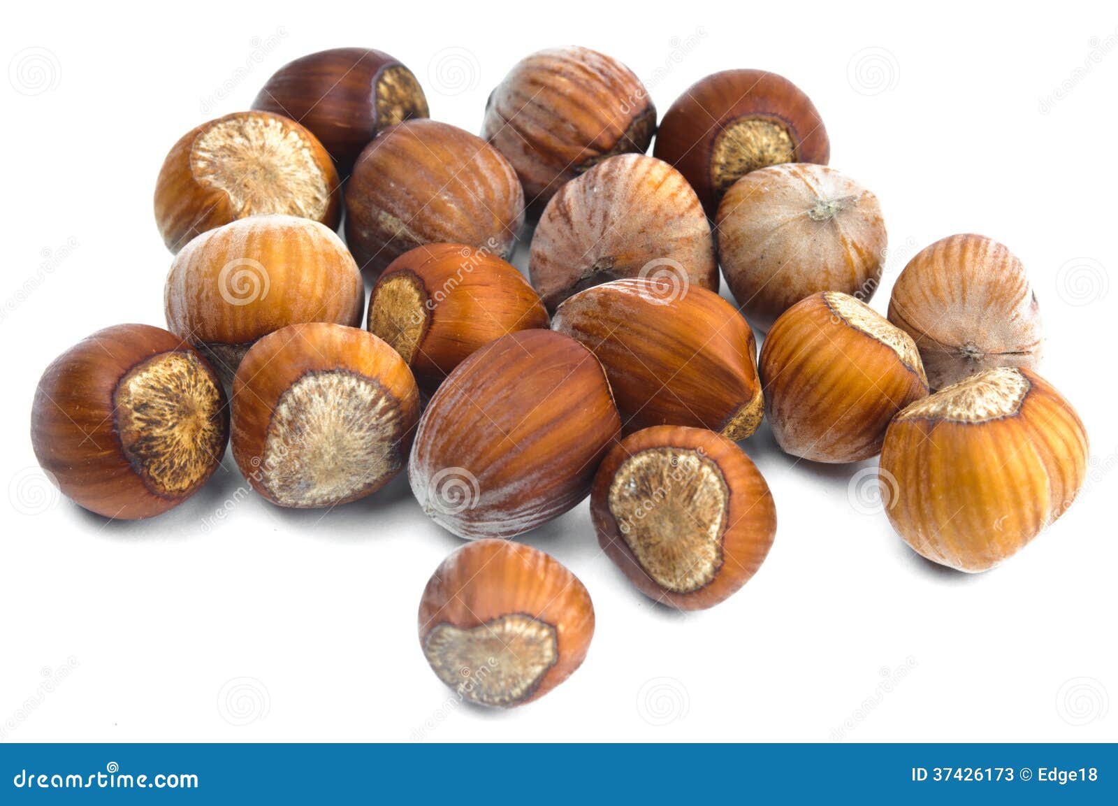 Hazelnuts in the shell stock image. Image of healthy - 37426173