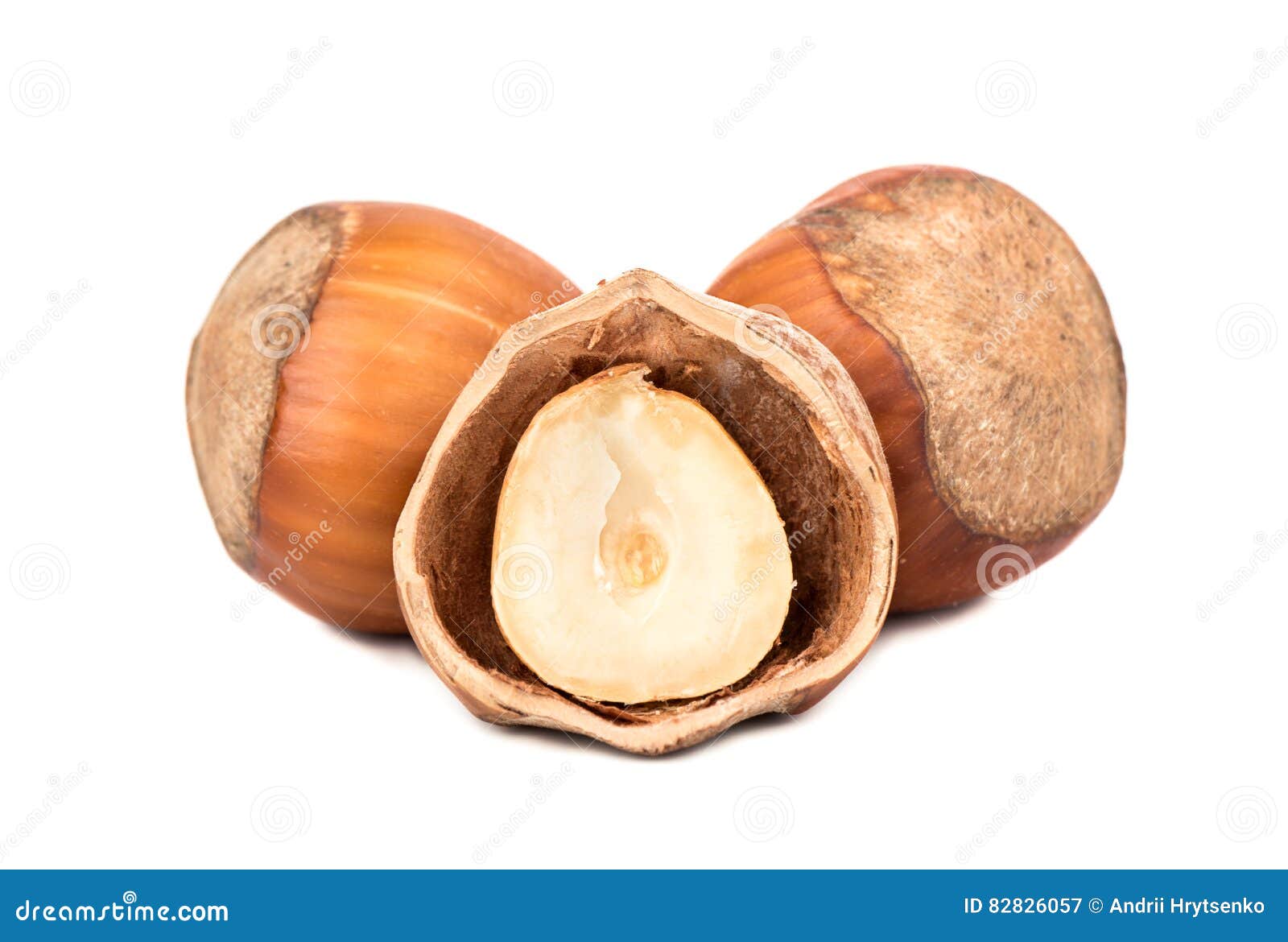 Hazelnuts in Shell and Half Stock Image - Image of hazel, diet: 82826057