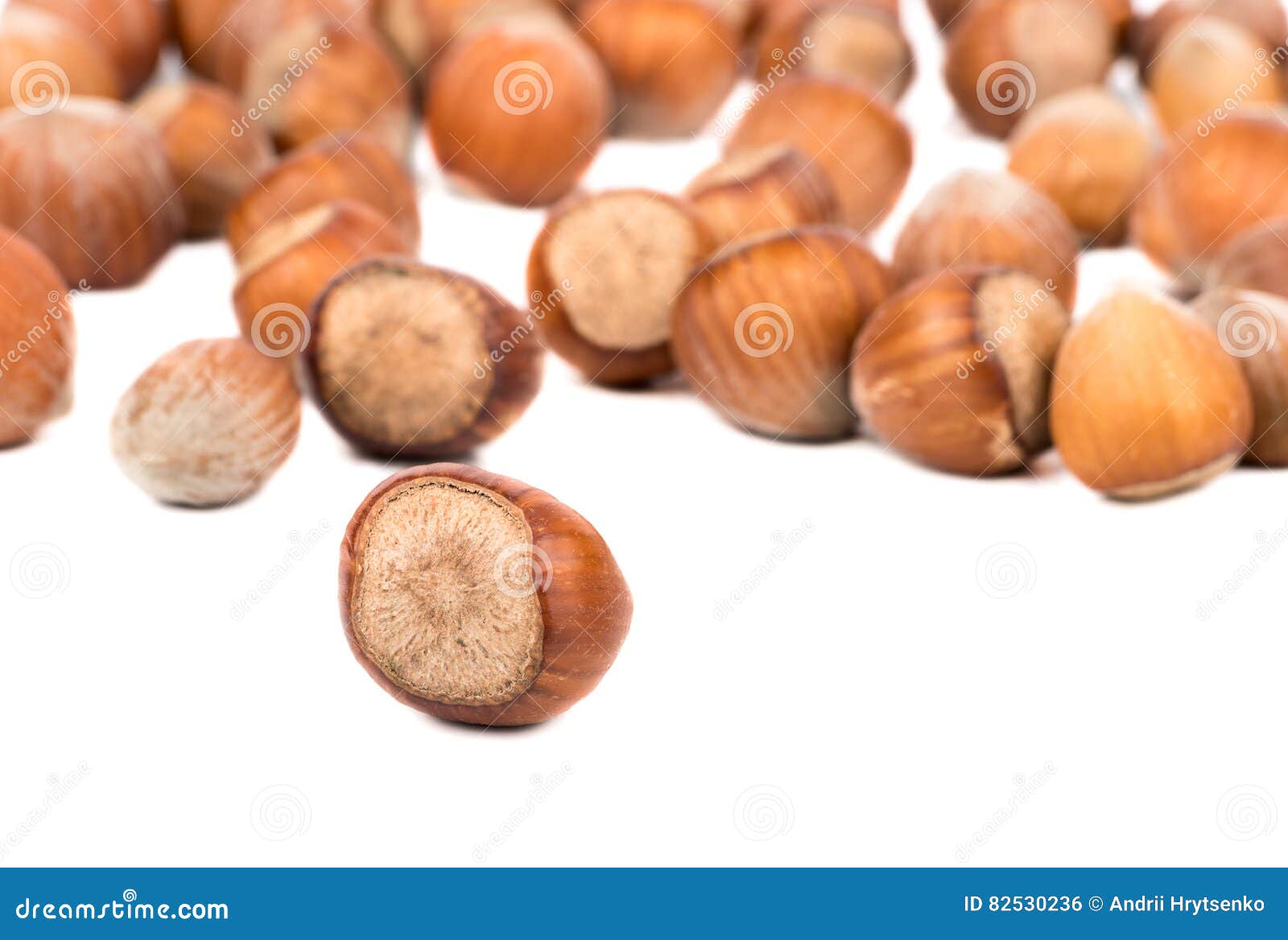 Hazelnuts in shell stock photo. Image of snack, detail - 82530236