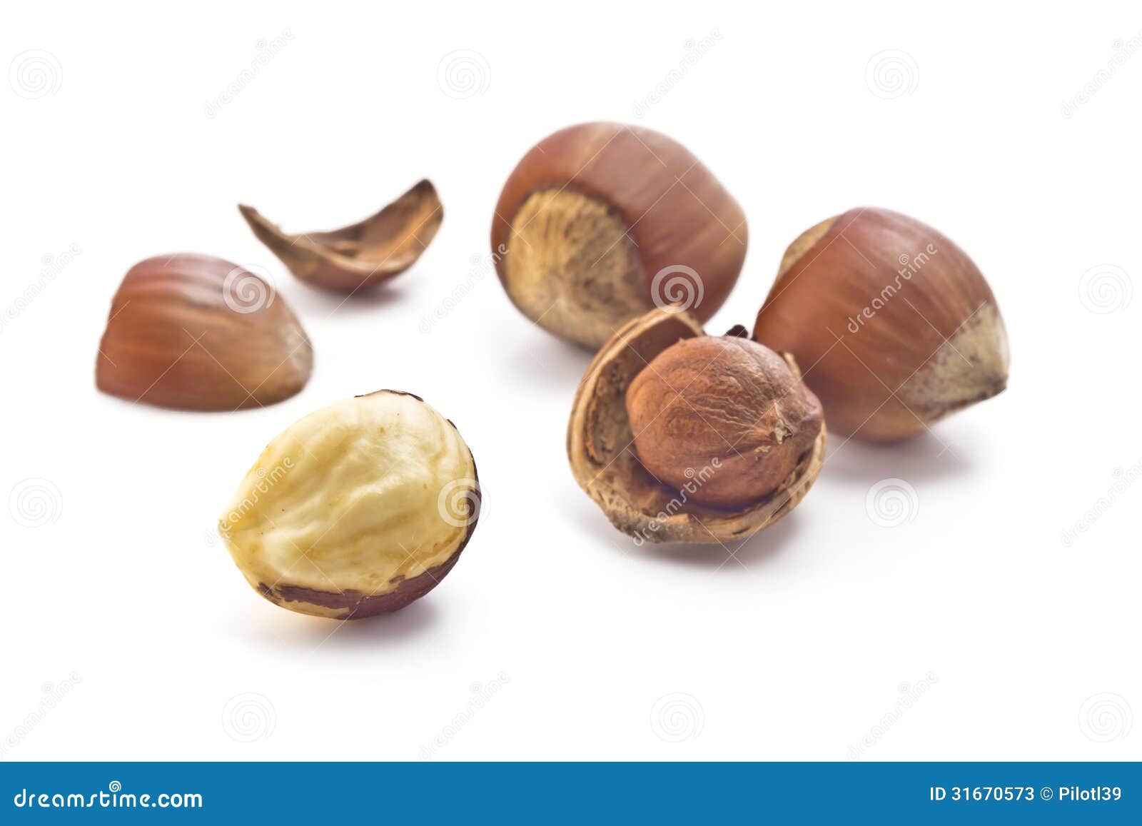 Hazelnuts stock image. Image of cleave, foreground, hazel - 31670573