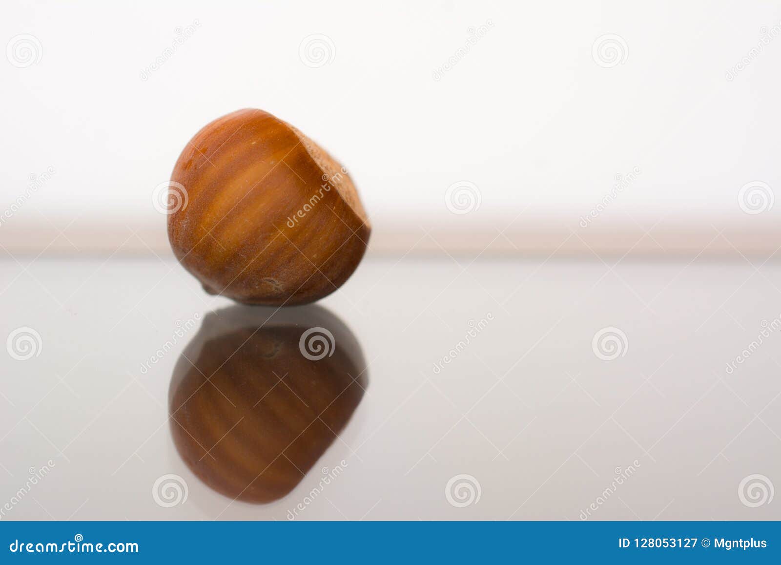 Hazelnuts in Shells on the Glass Table Stock Image - Image of hazelnut ...