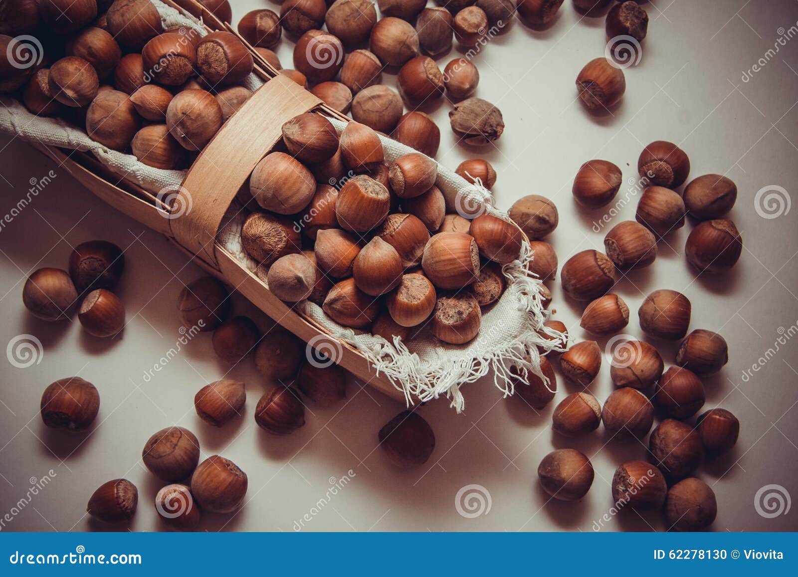 Hazelnuts in shells stock photo. Image of autumn, cleave - 62278130