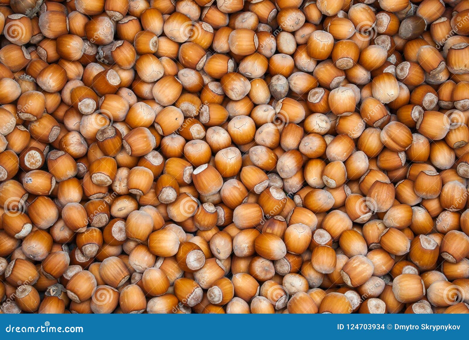 Hazelnuts. Stack of Hazelnuts Stock Photo - Image of space, pattern ...