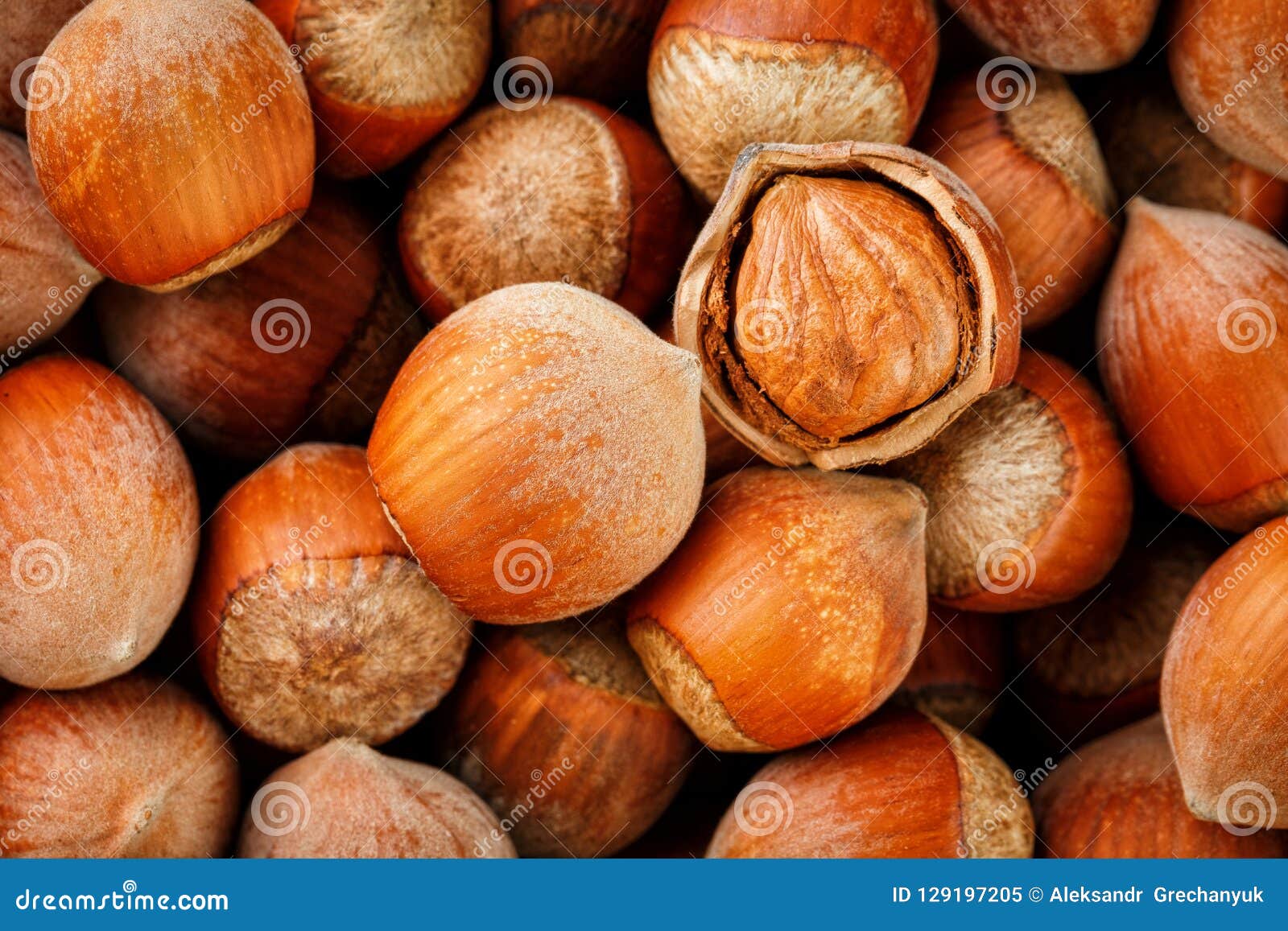 Hazelnuts. Stack of Hazelnuts. Food Background. Hazelnut Background ...