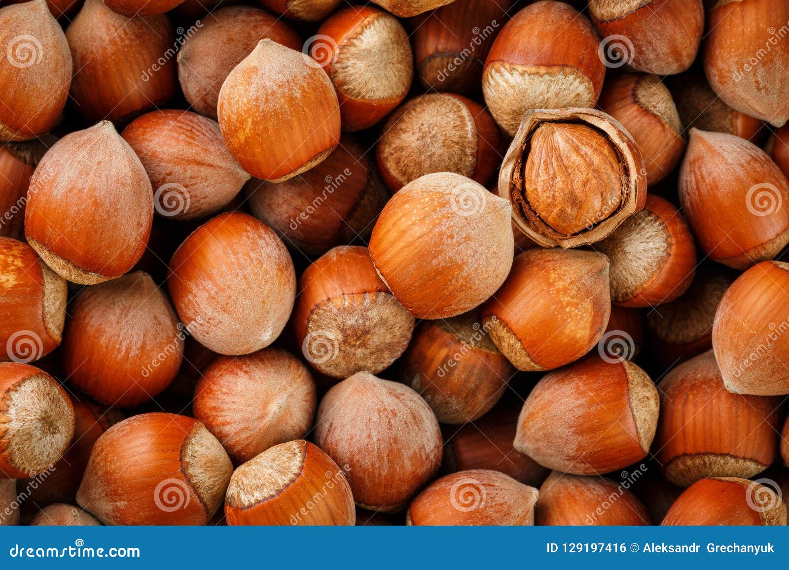 Hazelnuts. Stack of Hazelnuts. Food Background. Hazelnut Background ...