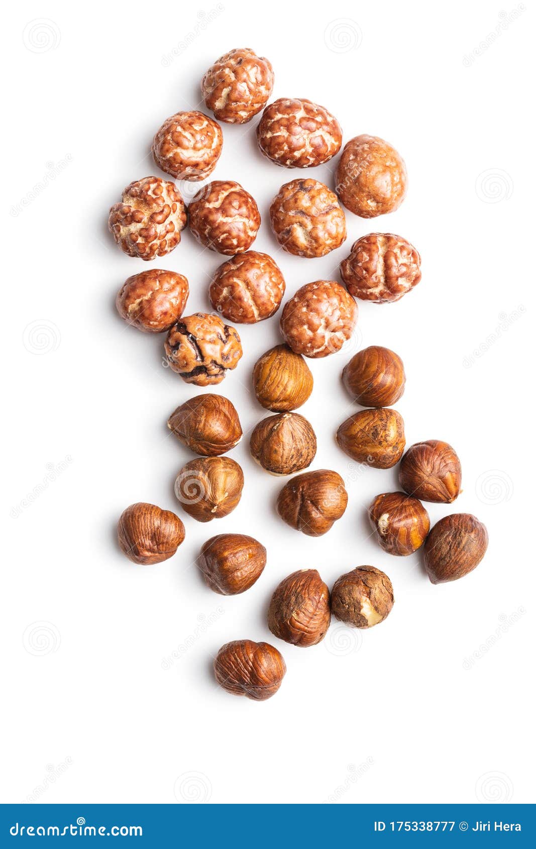 Hazelnuts with sugar icing stock image. Image of kernel - 175338777