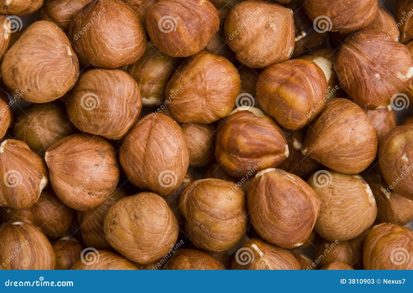 Hazelnuts Texture stock image. Image of white, nuts, isolated - 3810903