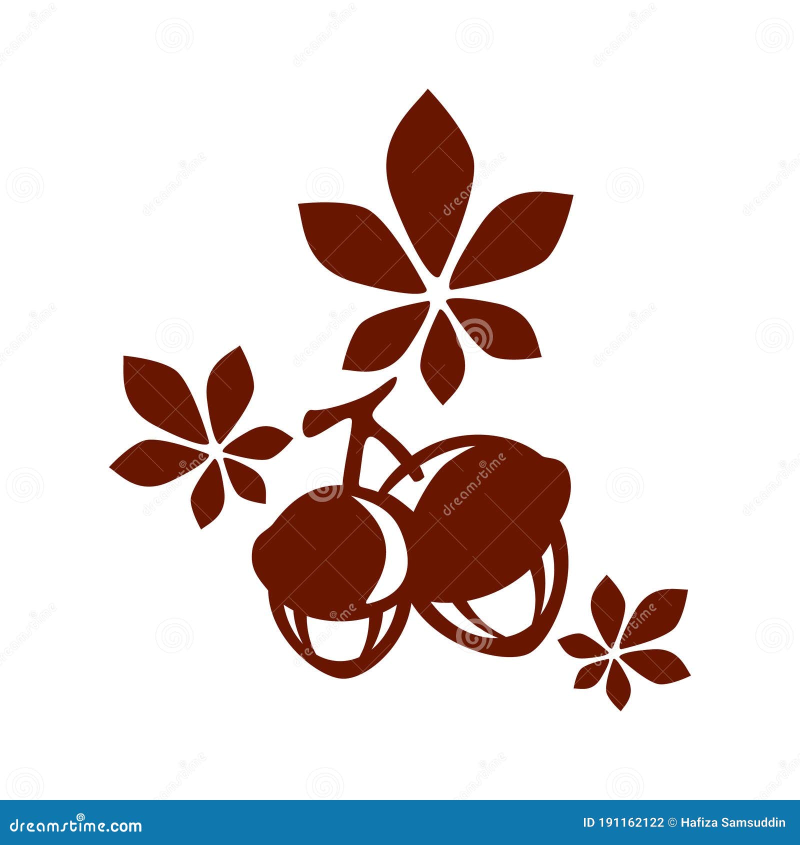 Hazelnuts Vector Hand-drawn Illustration | CartoonDealer.com #136552876