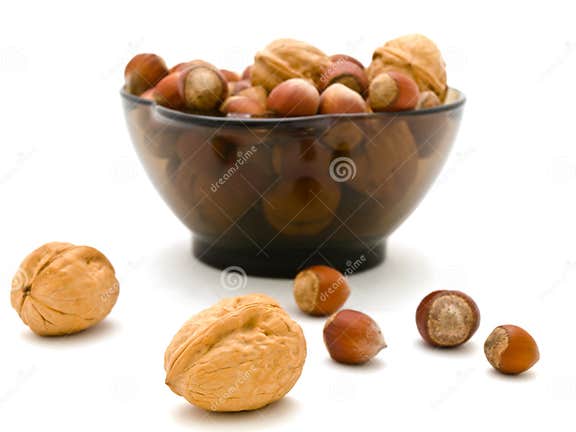 Hazelnuts and walnuts stock image. Image of group, edible - 8781395