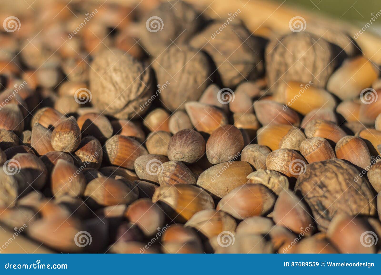 Hazelnuts and walnuts stock image. Image of eating, hazelnut - 87689559