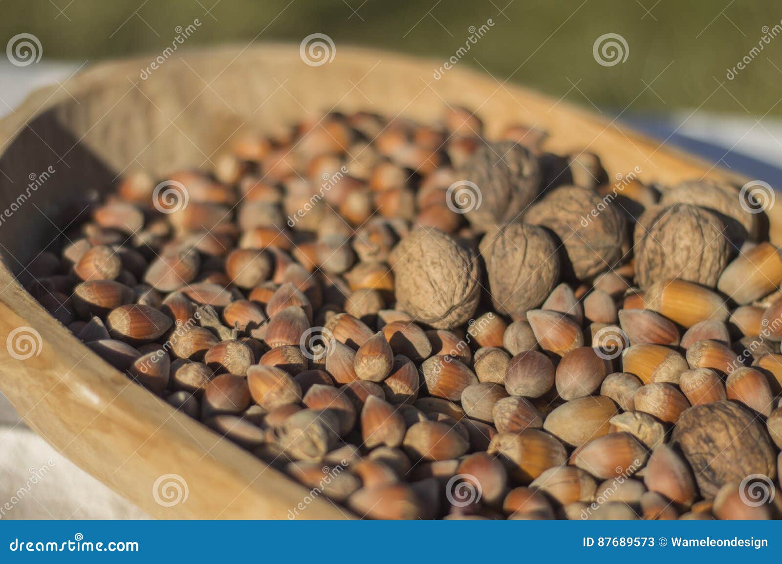 Hazelnuts and walnuts stock image. Image of hazelnut - 87689573