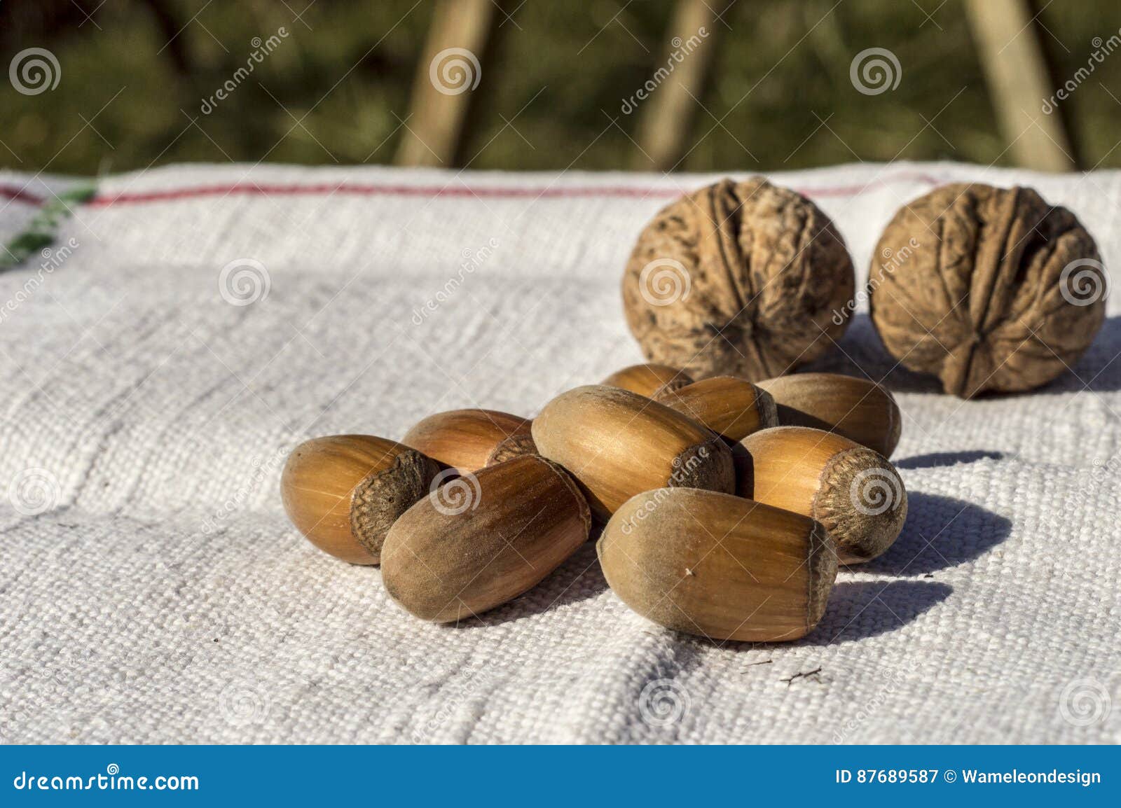 Hazelnuts and walnuts stock image. Image of food, nature - 87689587