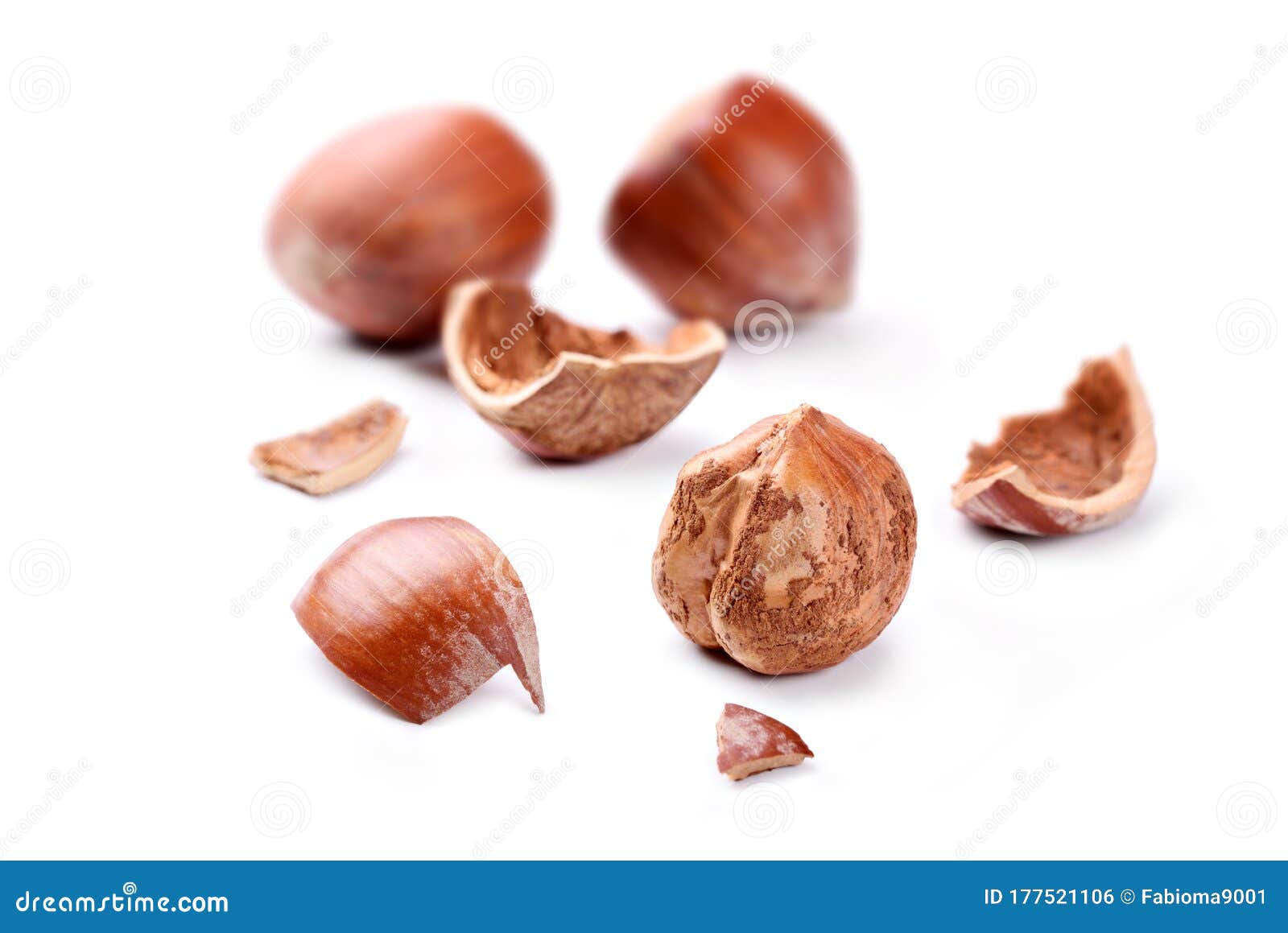 Open Hazelnut with Shell Fragments Isolated on White Background. Stock ...