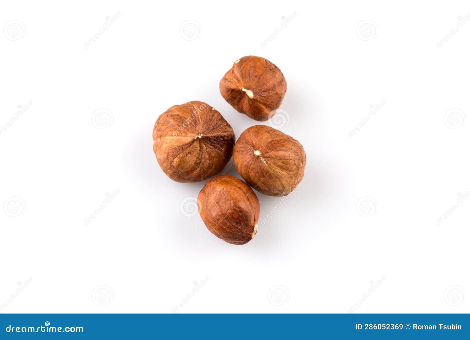 Hazelnuts on the White Background Stock Image - Image of white, shadow ...