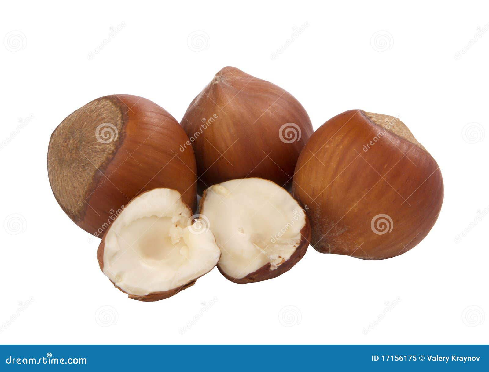 Hazelnuts, Whole and Unshelled Stock Image - Image of isolated, open ...