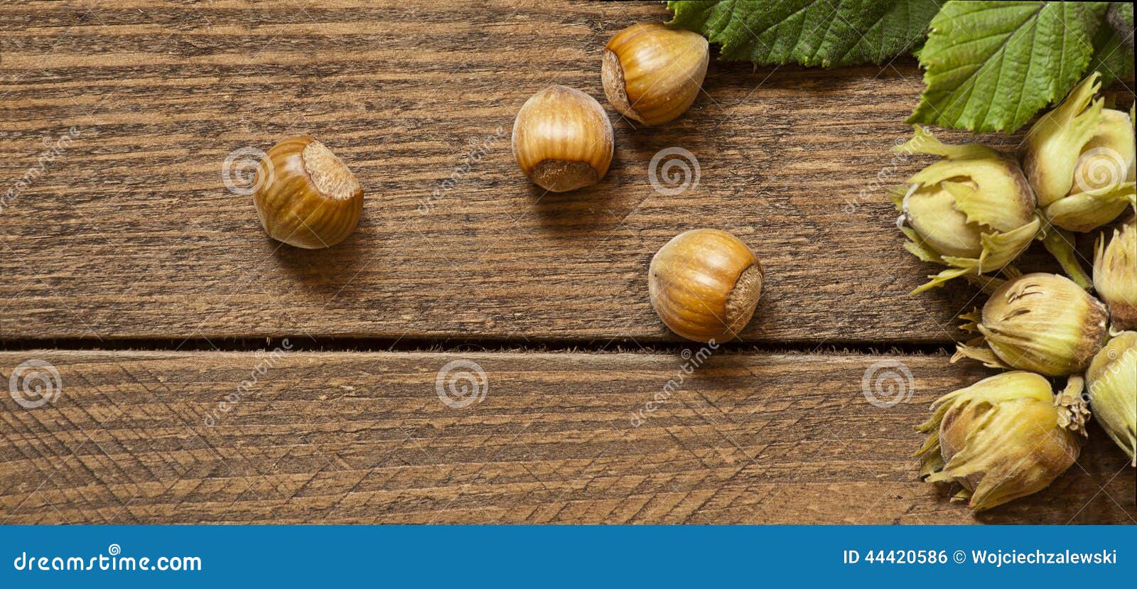 Hazelnuts on wood stock photo. Image of seed, leaf, nutshell - 44420586