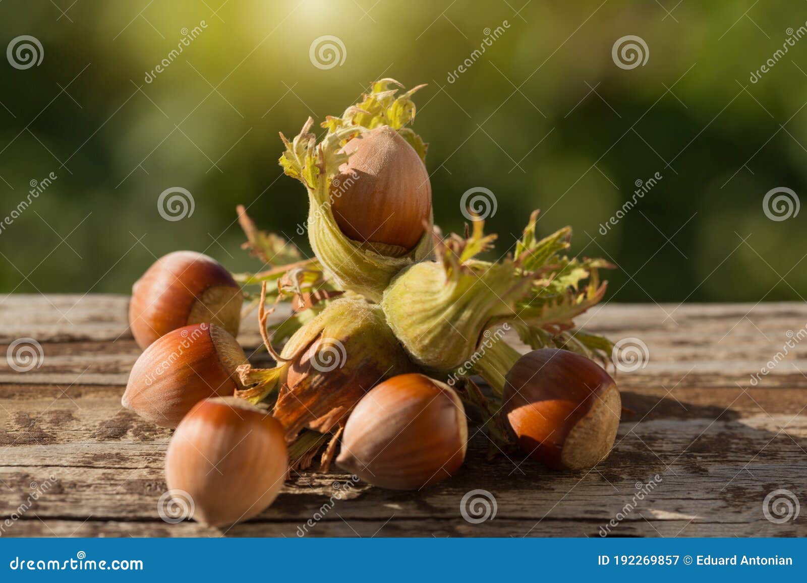 Hazelnuts on Wooden Boards, a Bunch of Nuts, Open Air, Sunlight ...