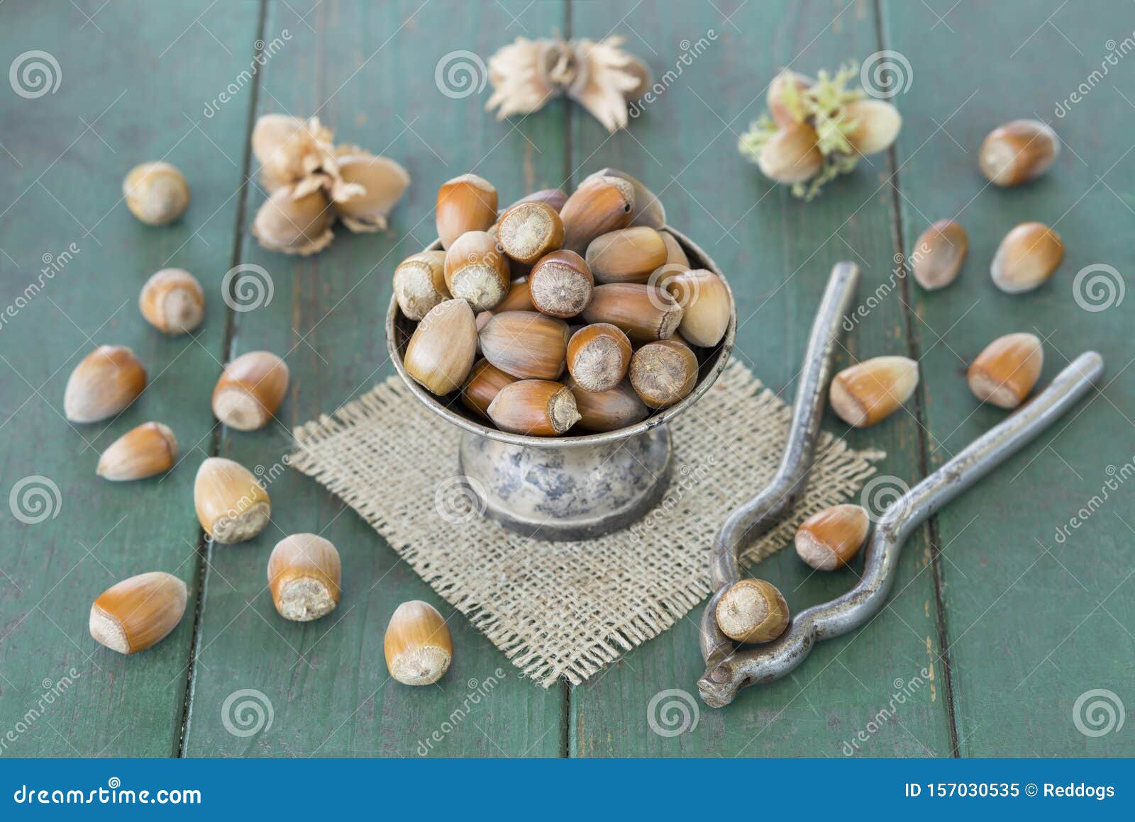 Healthy Hazelnuts on a Wooden Table Stock Image - Image of nutcracker ...