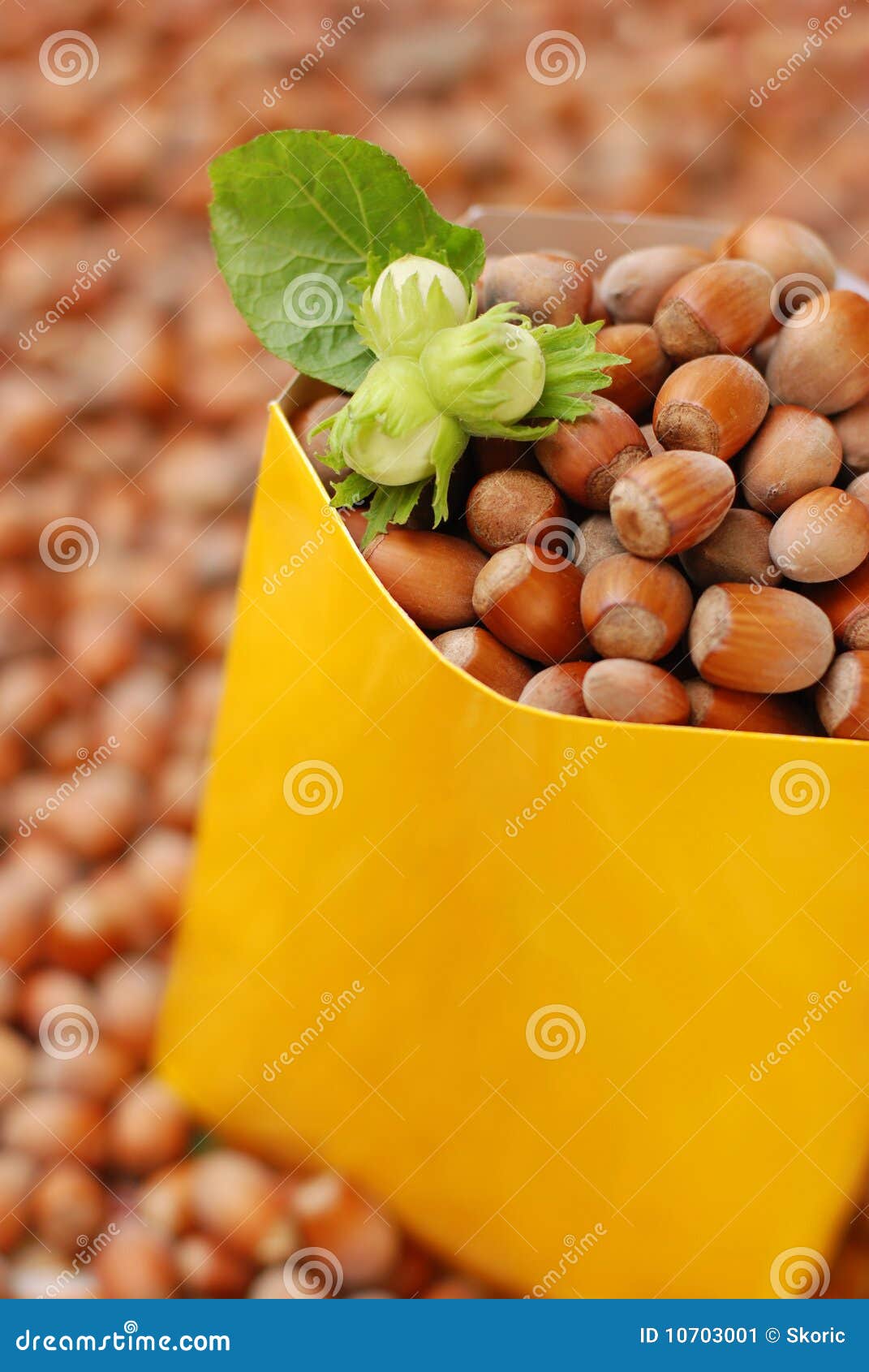 Hazelnuts in Yellow Package Stock Image - Image of food, fruit: 10703001