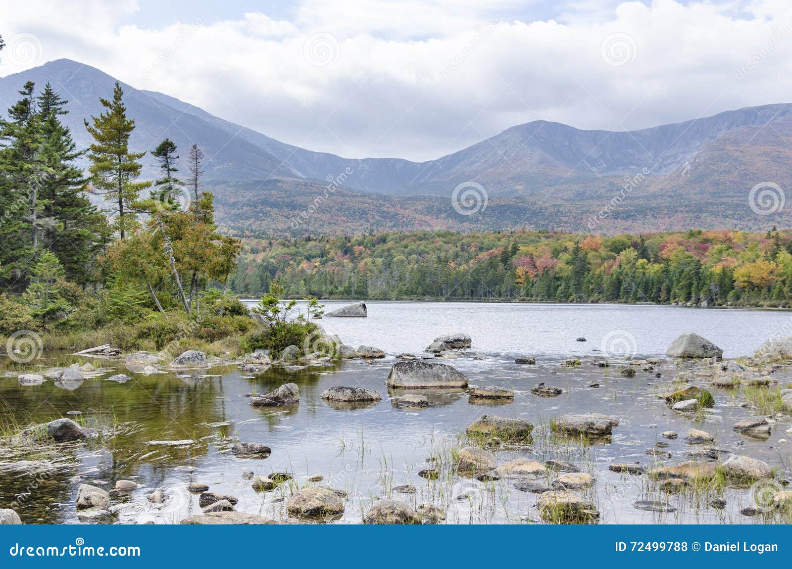 Hazy Afternoon Sandy Stream Pond Stock Photo - Image of trees, sandy ...