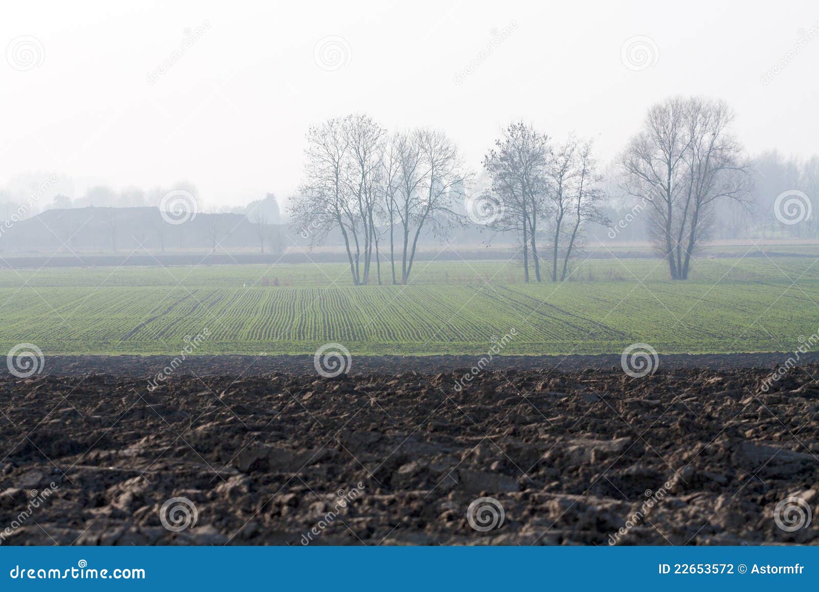 Hazy countryside stock photo. Image of ground, grey, early - 22653572