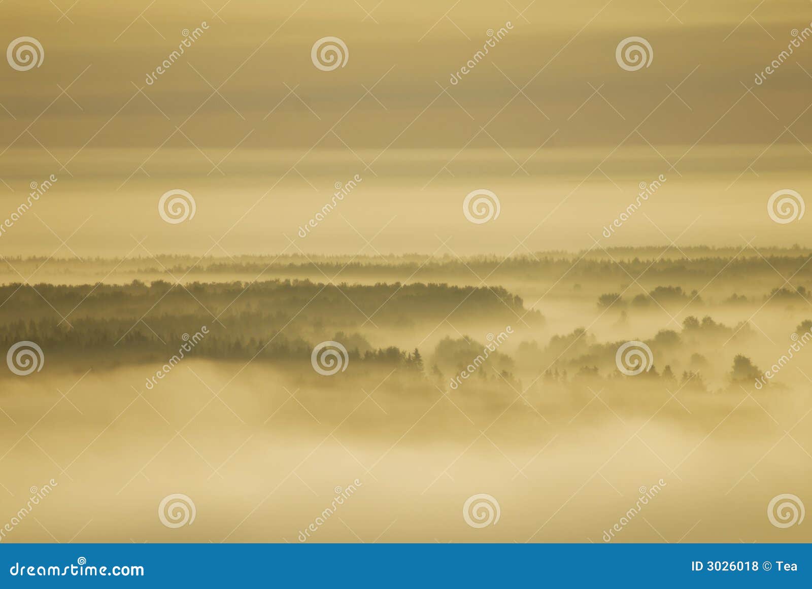 Hazy morning stock photo. Image of sunlight, light, september - 3026018